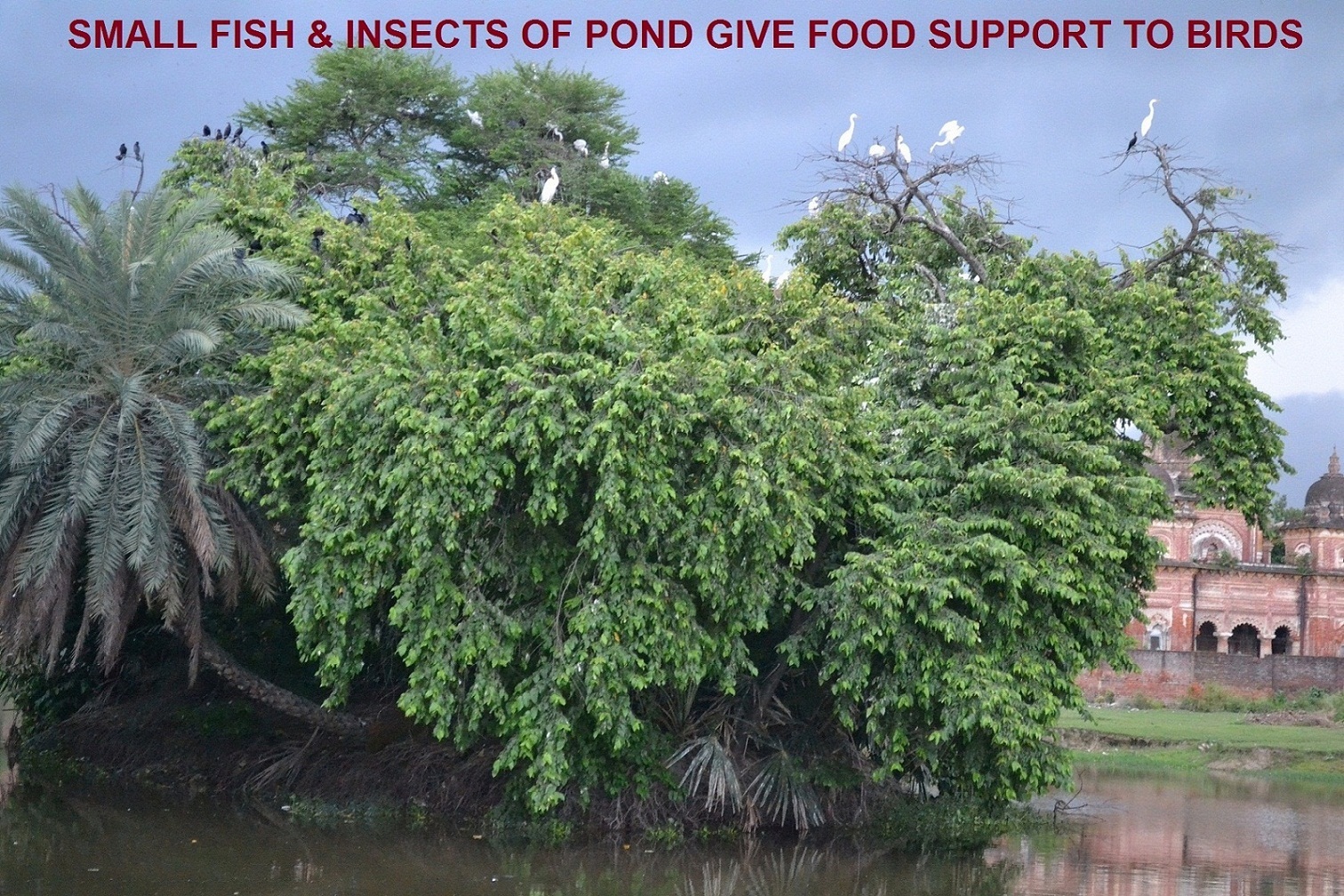 August 5, 2013 – SANDRP