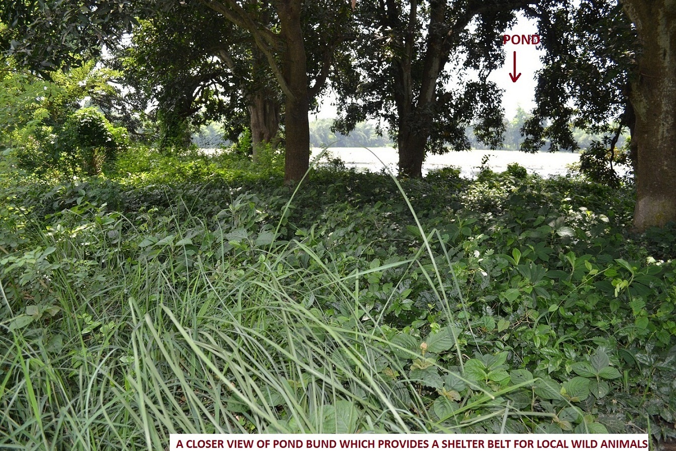 August 5, 2013 – SANDRP