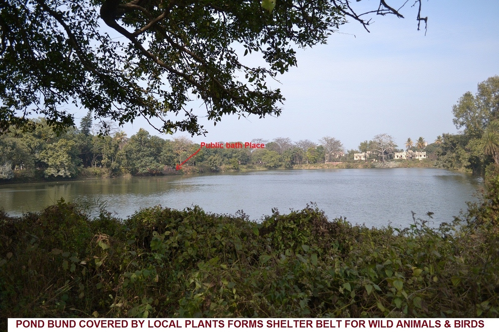 August 5, 2013 – SANDRP