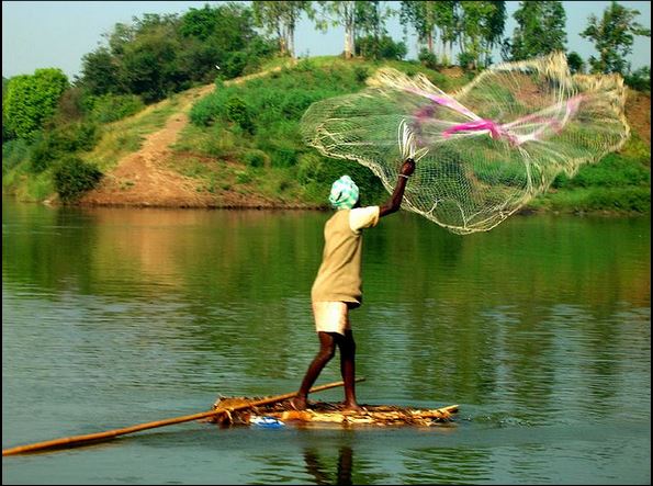 Who cares for Riverine Fisheries in Maharashtra? – SANDRP