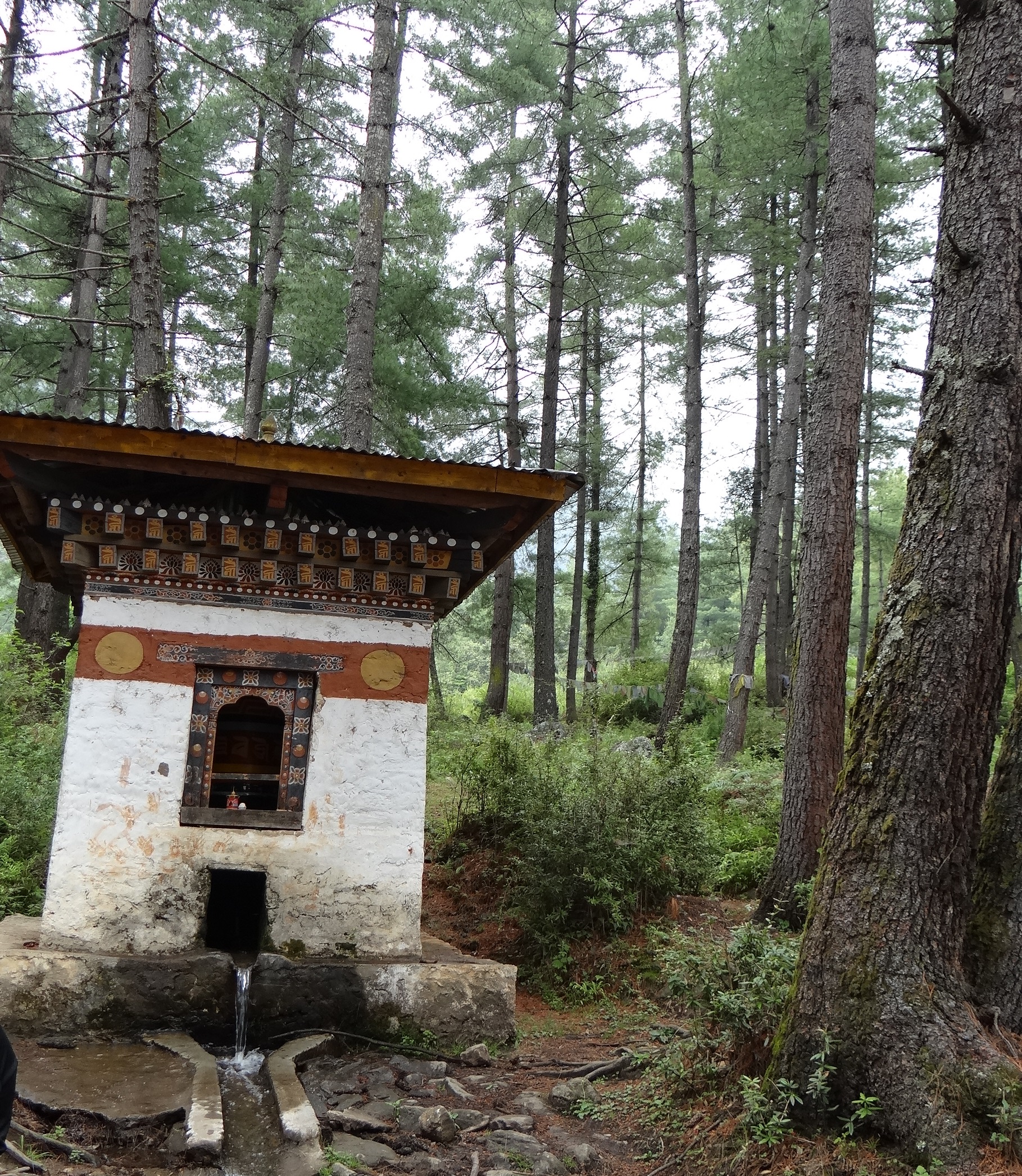 Flow for Worship, Flow for Money: Water Wheels and Hydropower in Bhutan ...