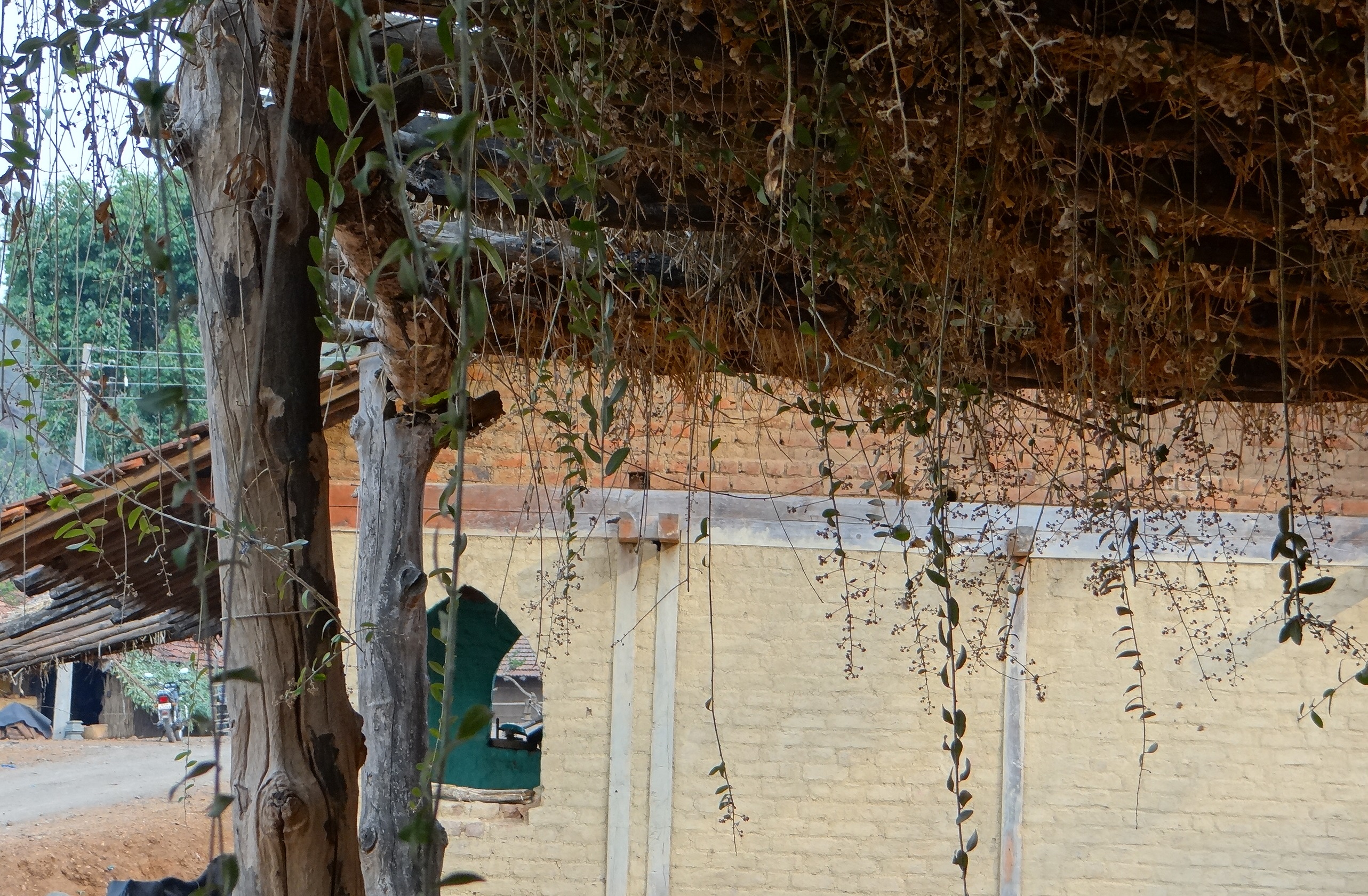 Par-Tapi-Narmada Link: Divided States, United Tribals – SANDRP