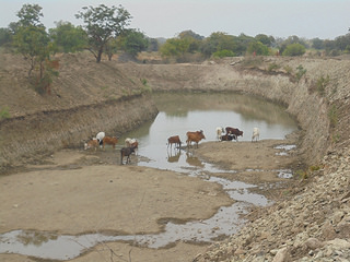Digging deeper into water scarcity after watershed development – SANDRP