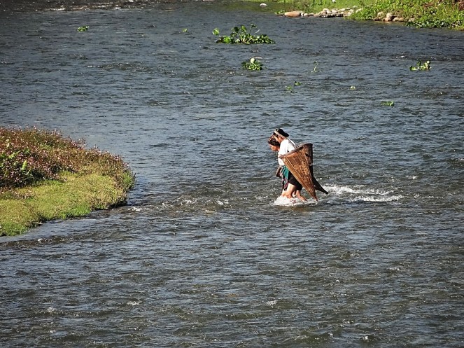 Celebrating India’s Riverine Fisheries on the World Fisheries Day – SANDRP
