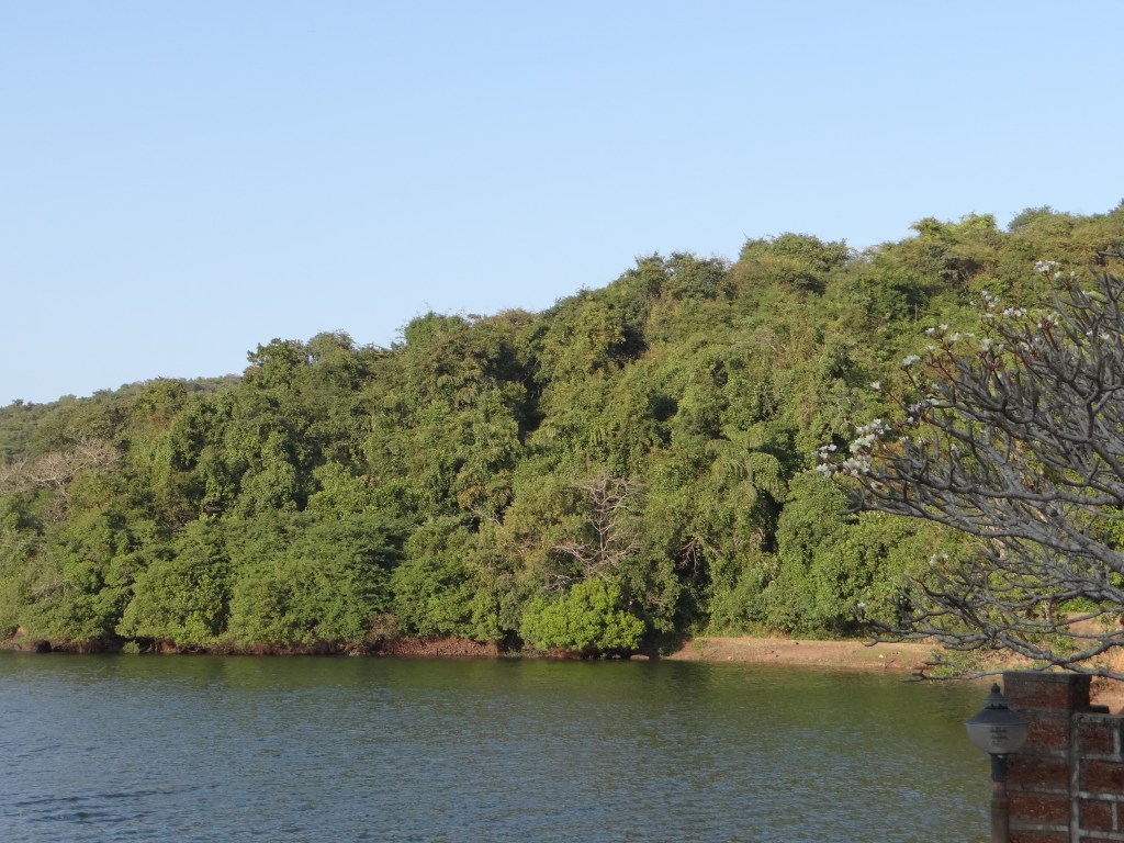 Large Dams in Konkan Western Ghats: Costs, Benefits and Impacts – SANDRP