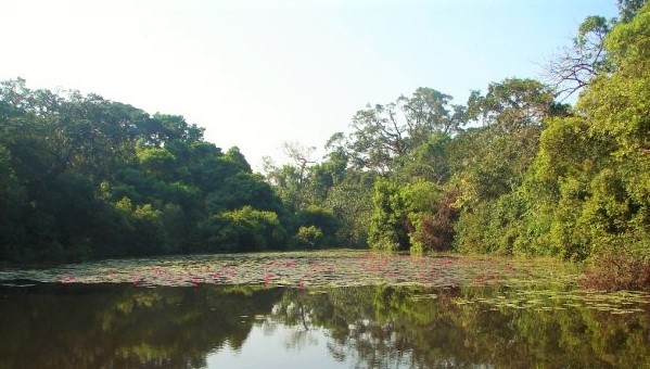 February 9, 2016 – SANDRP