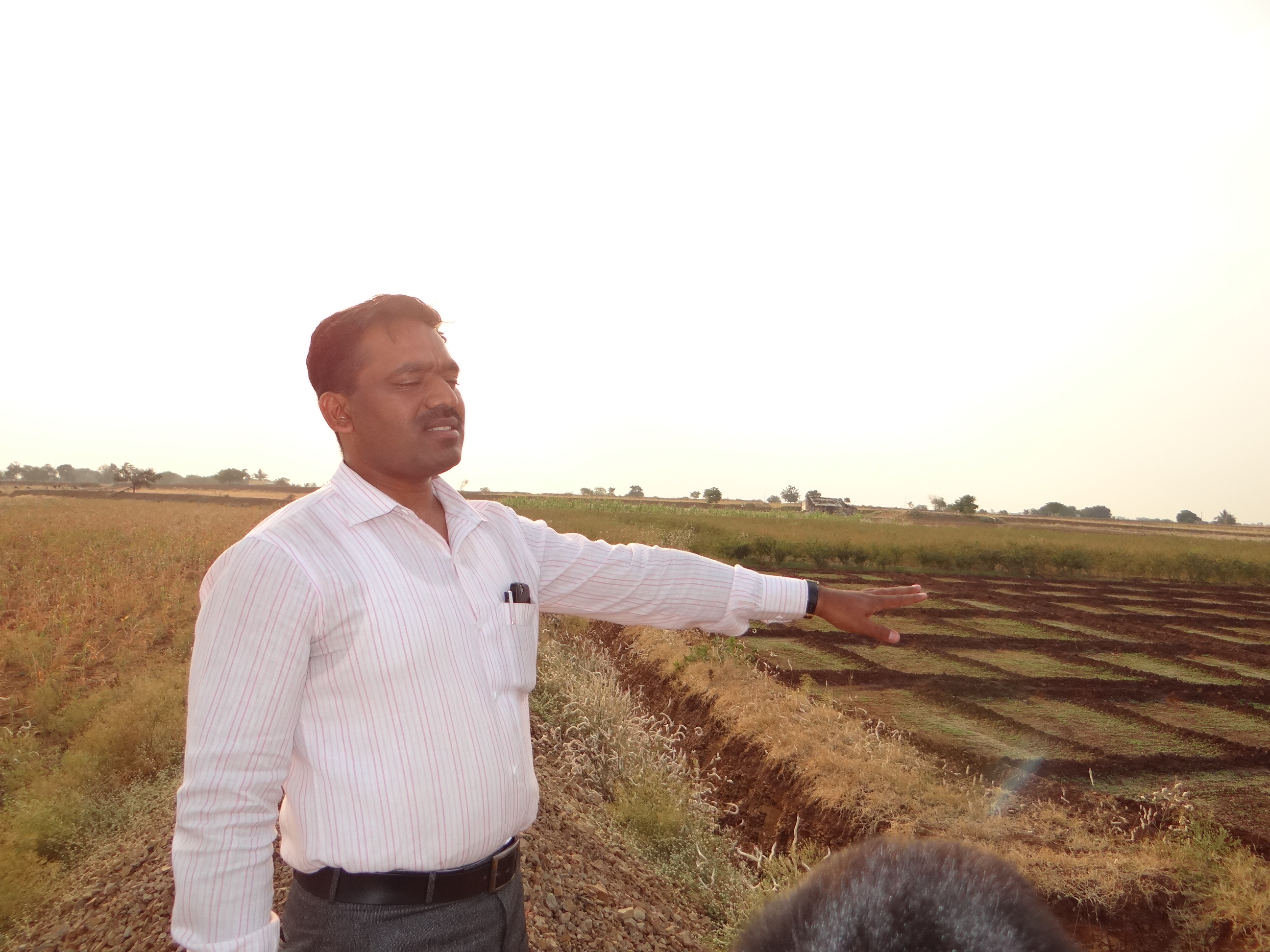 Amidst a dismal Maharashtra drought, Seeds of change in Solapur – SANDRP
