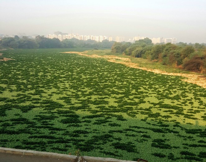 June 4, 2016 – SANDRP