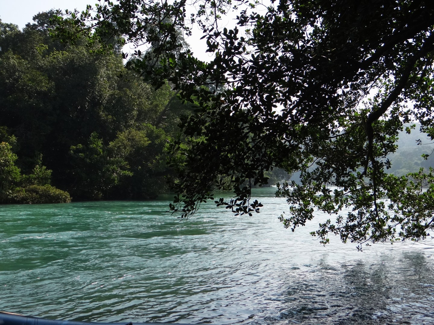 Celebrating our Rivers on the World Rivers Day, 2016! – SANDRP
