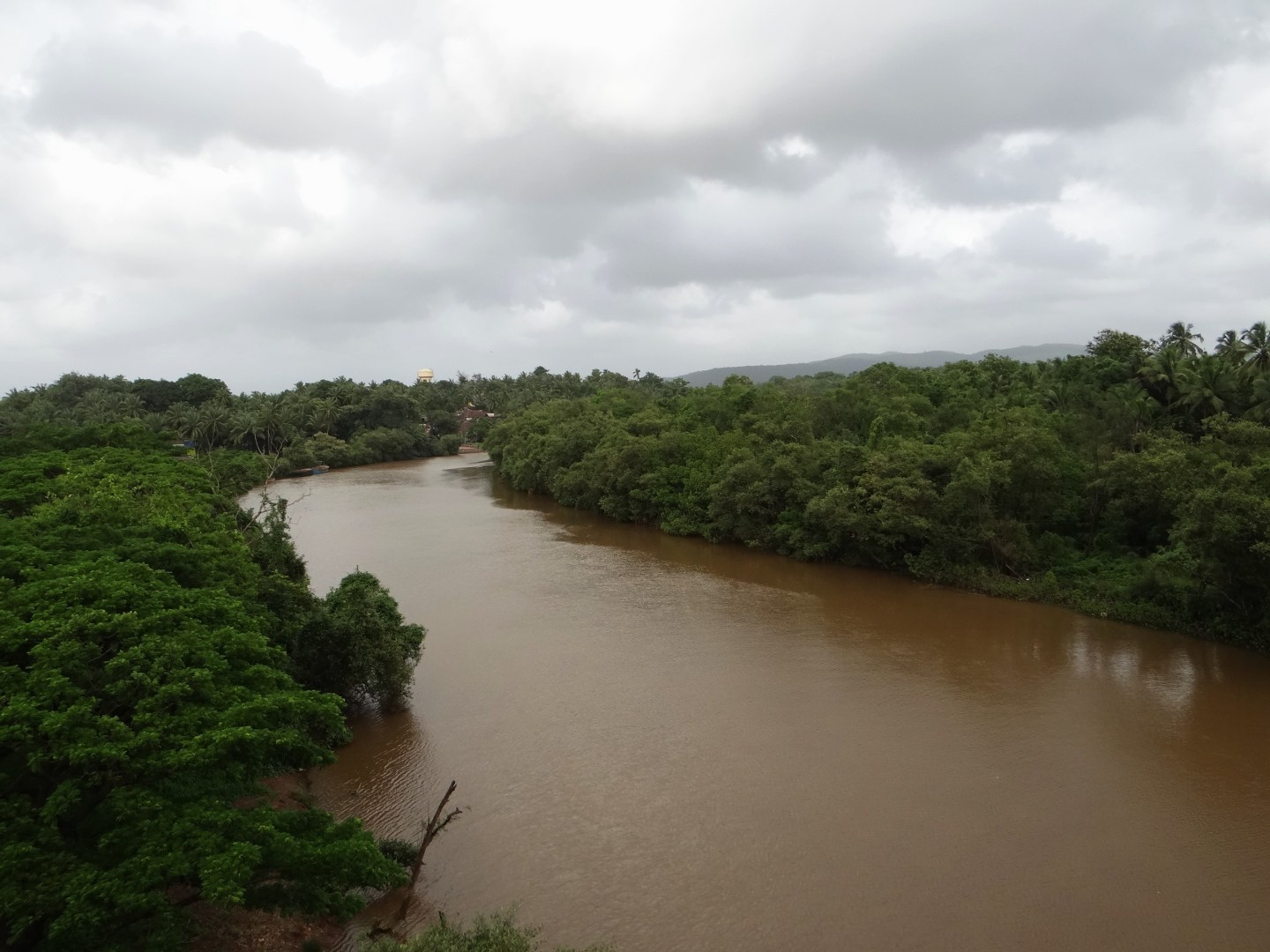 Celebrating our Rivers on the World Rivers Day, 2016! – SANDRP