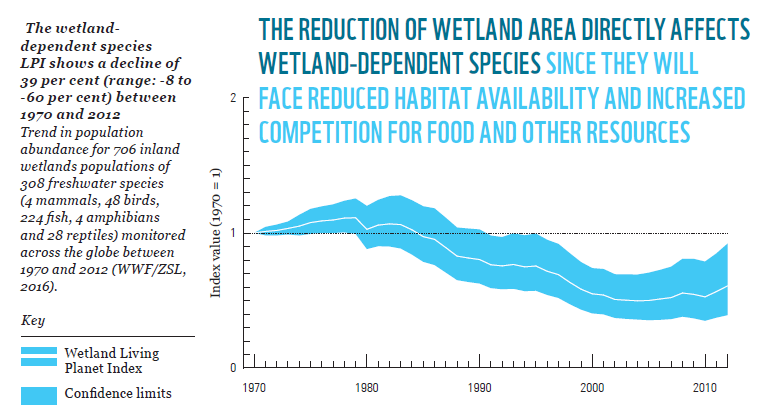 Living Planet Report, 2016: Rivers, Wetlands, Fresh Water Species Face ...