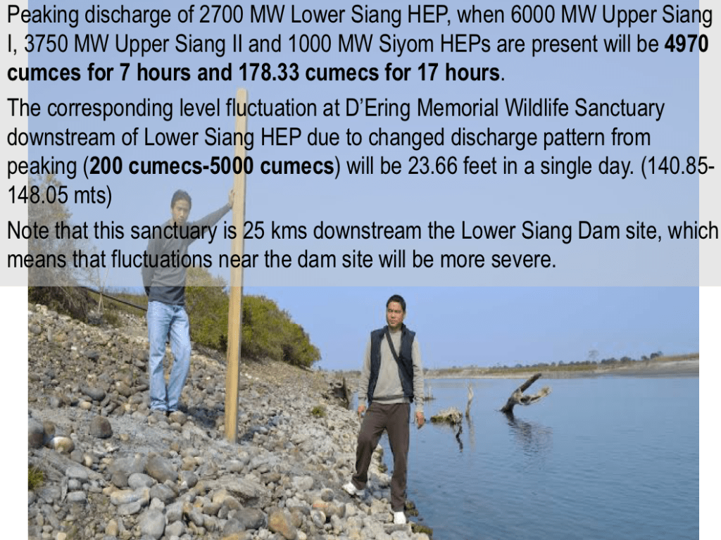 River bank failure due to sudden water flow changes – SANDRP