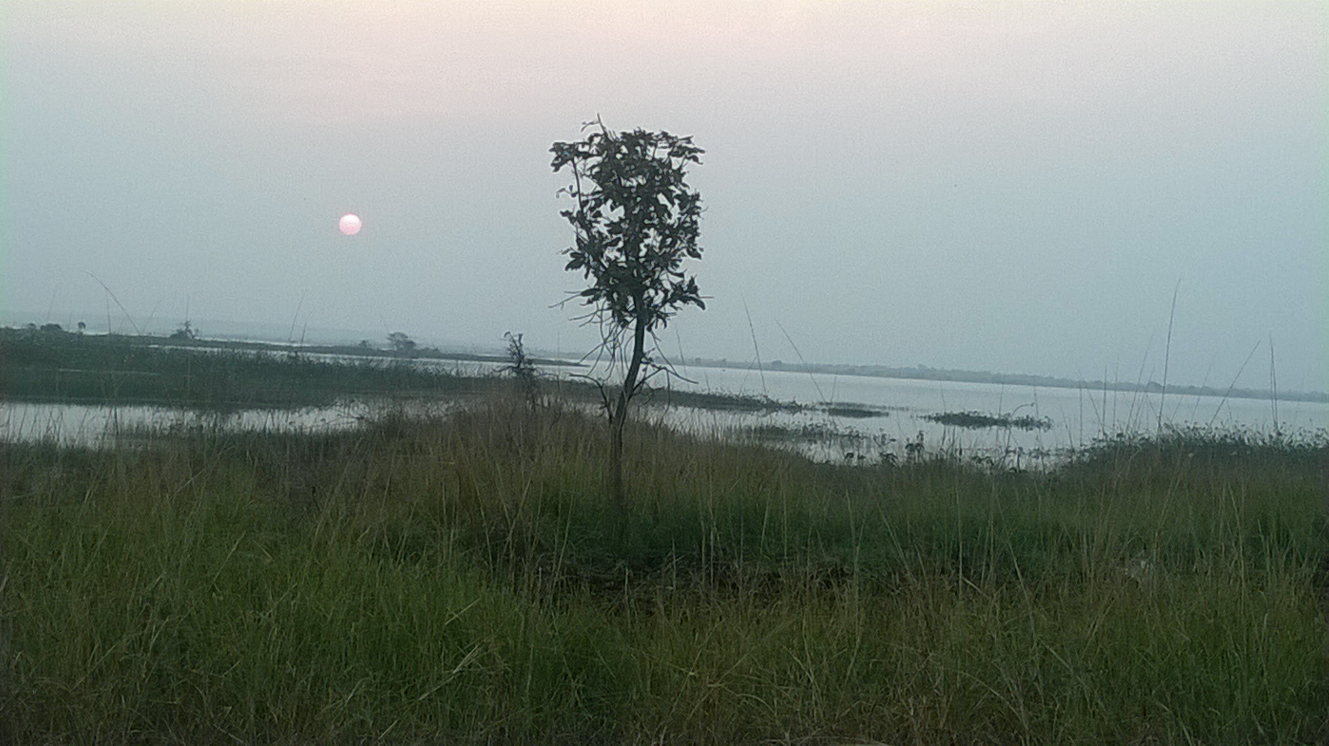 Wainganga River: Threatened lifeline of Vidarbha’s Forests – SANDRP