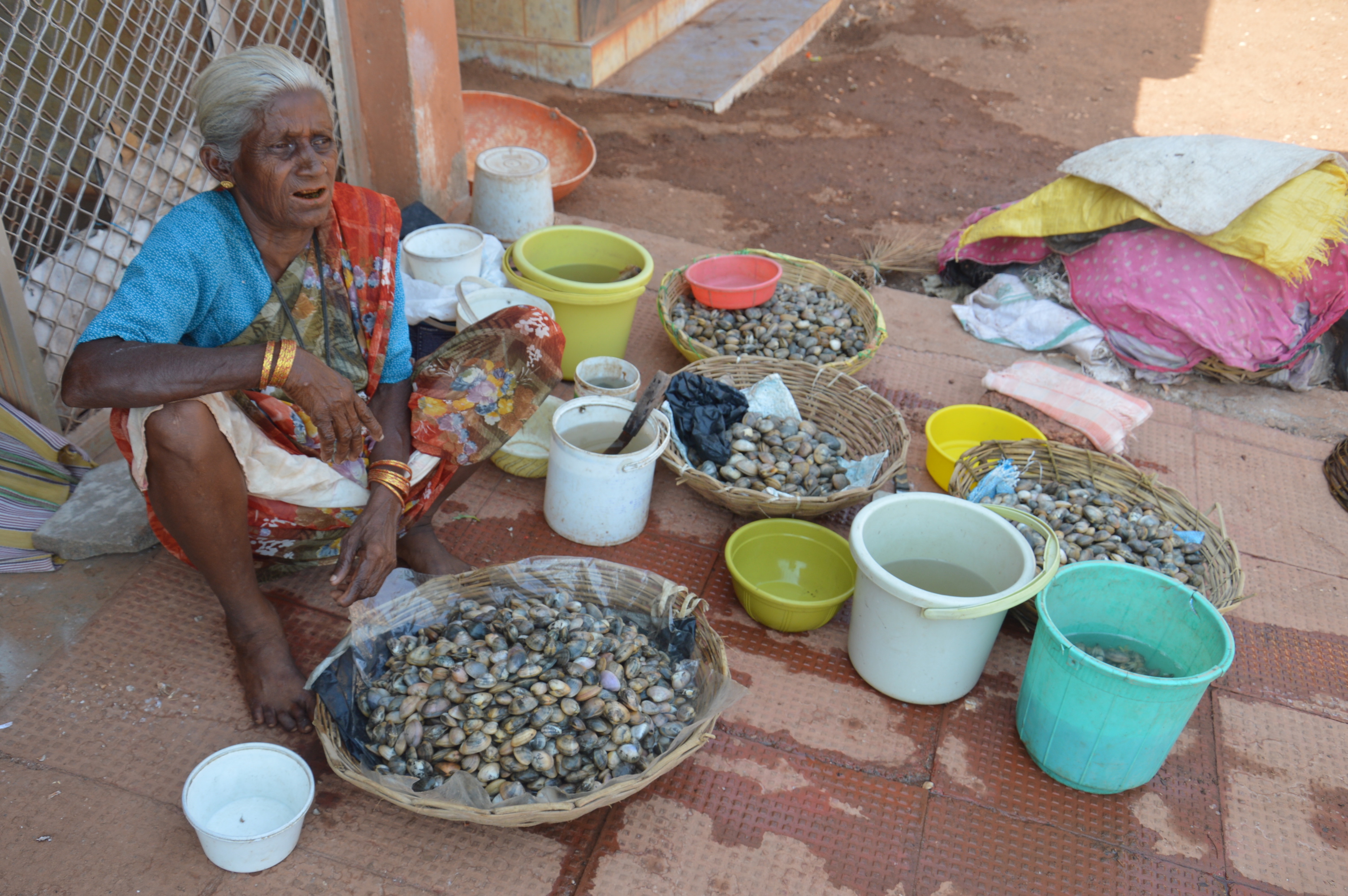 The state of the Aghanashini River Estuary – SANDRP
