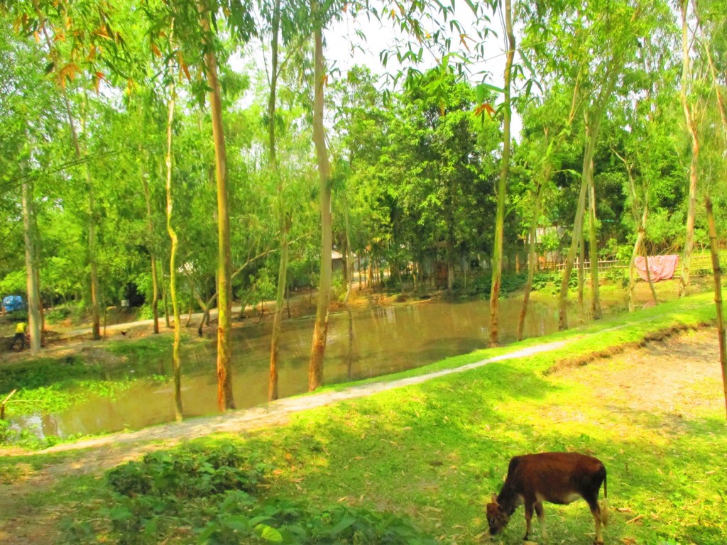 Retracing Her Path 1: A Journey along the Teesta River in Bangladesh ...