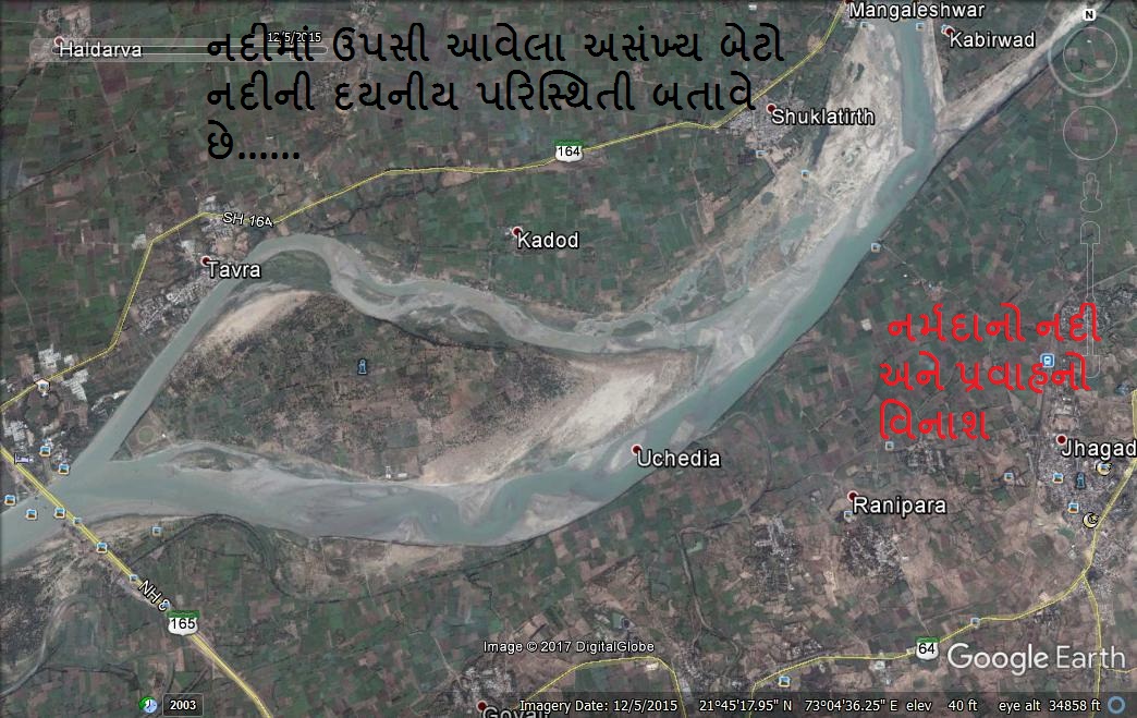 On World Fisheries Day Gujarat Fish workers dependent on Narmada River ...