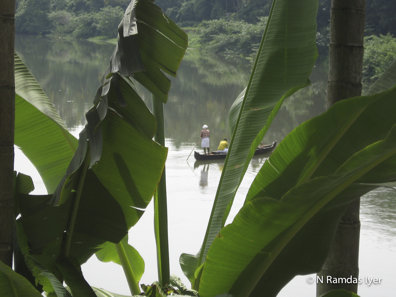 Urban Rivers – Moovattupuzha River in Kerala – SANDRP
