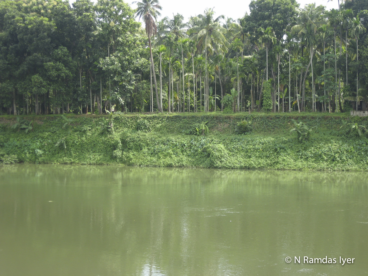 Urban Rivers – Moovattupuzha River in Kerala – SANDRP