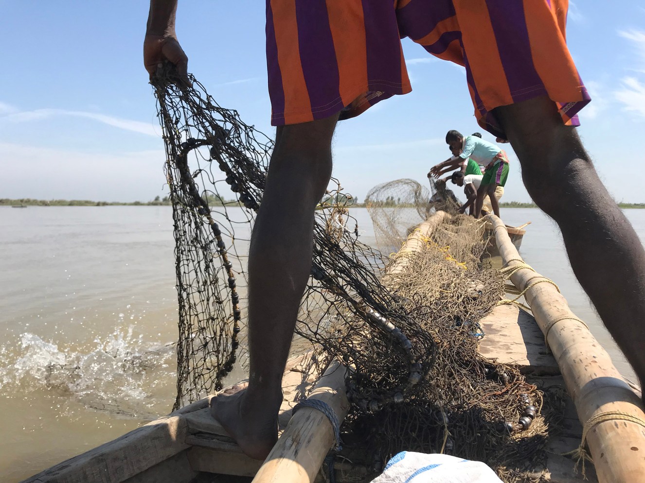 Beas Dolphins: A Flash Of Fin, A Glimmer Of Hope – SANDRP