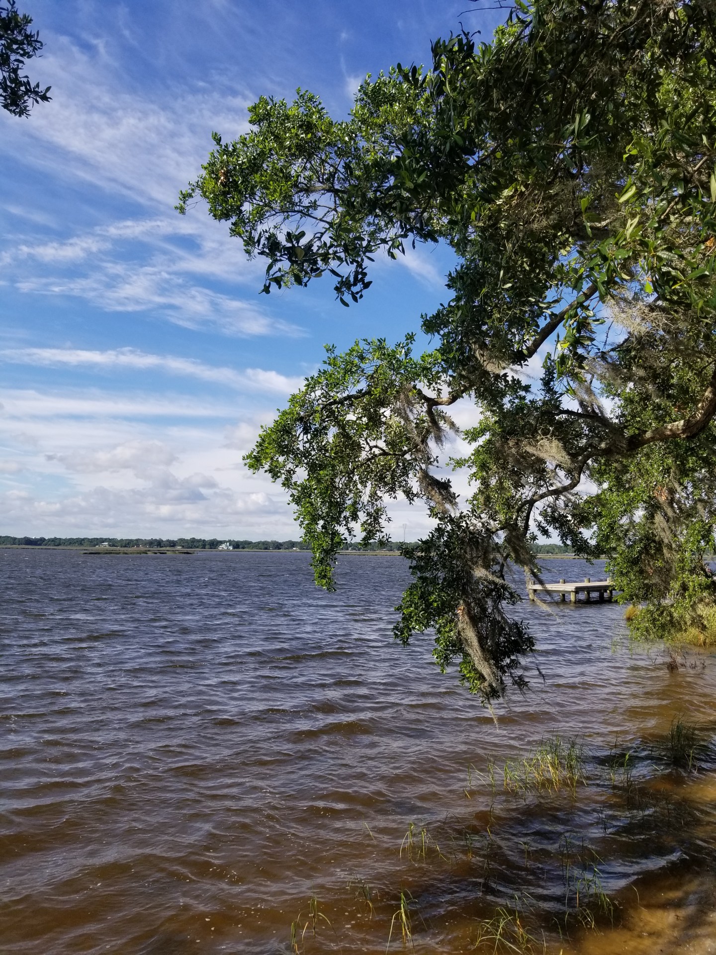 The Singing River: Story of America’s Largest Free-flowing river – SANDRP