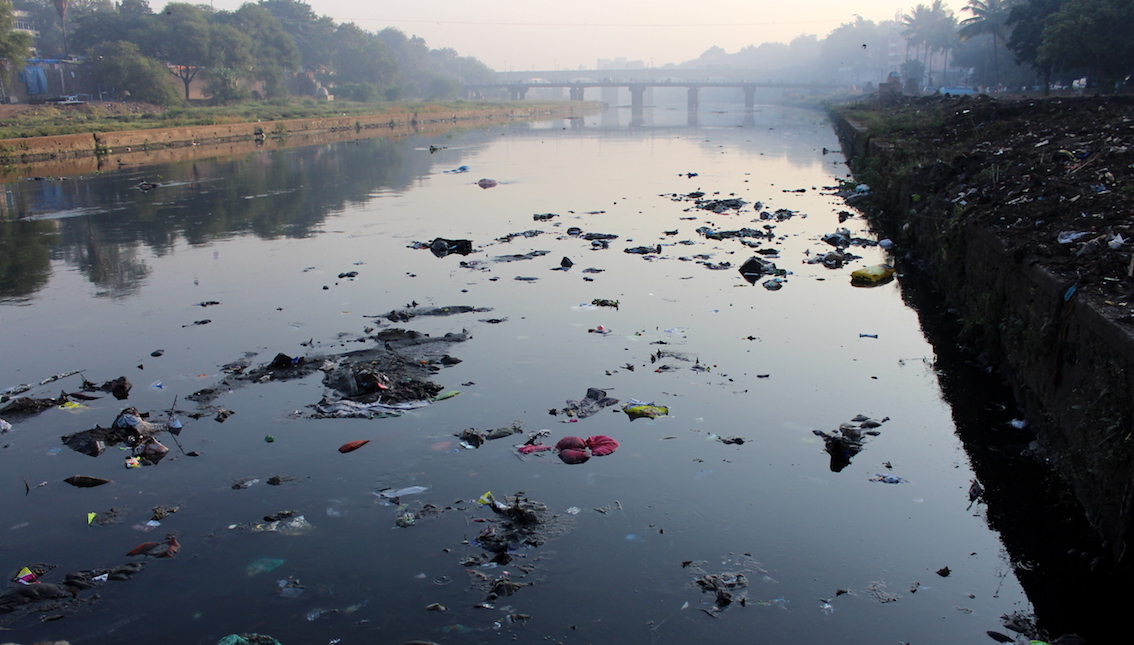 Amazing India River Day 2018 celebrations in Pune – SANDRP