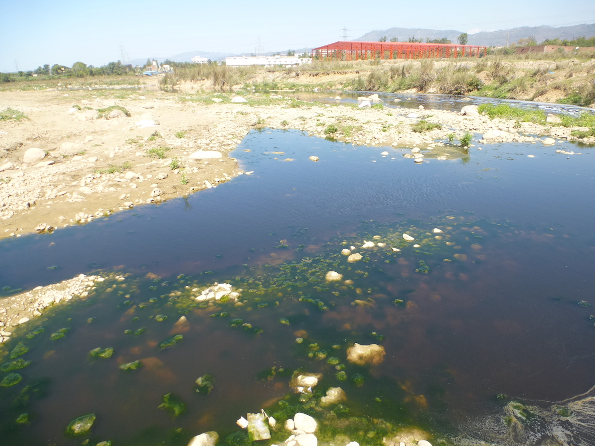 Himalaya-friendly groundwater governance – SANDRP