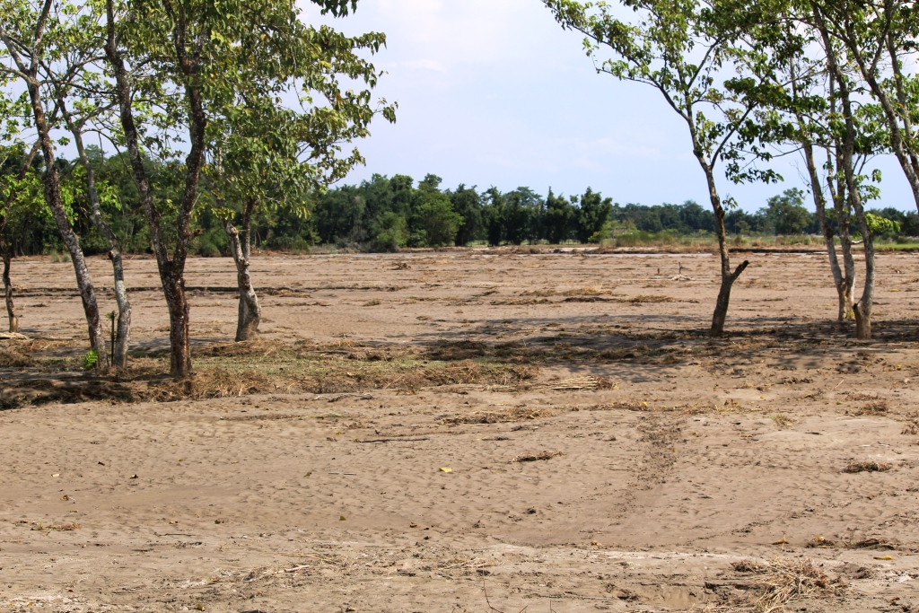 The floods of Jiadhal River in Assam – SANDRP