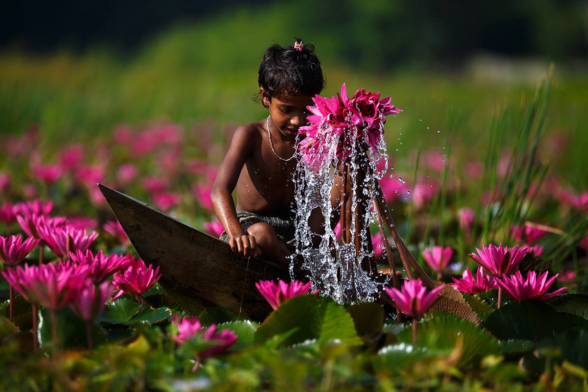 Riverscapes of a Lonely Poet: Jibanananda Das – SANDRP