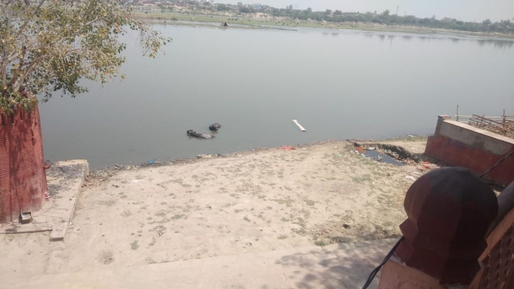 Cleaner rivers in lockdown: Lessons we can learn – SANDRP