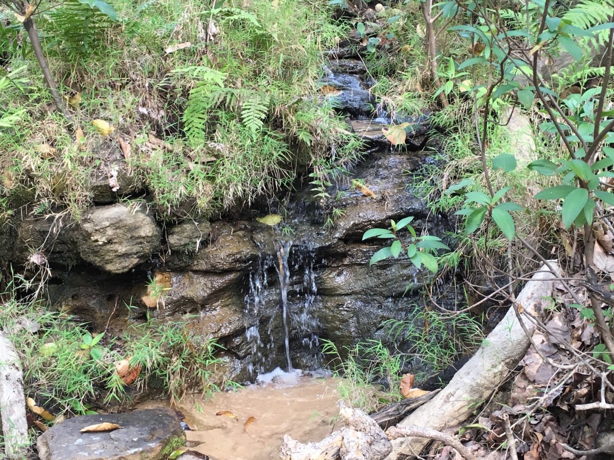 Demystifying River Health-1 – SANDRP