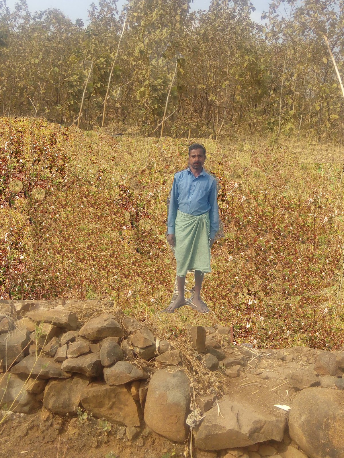 Agriculture Reform Rhetoric or Unbridled Capitalist Accumulation? – SANDRP