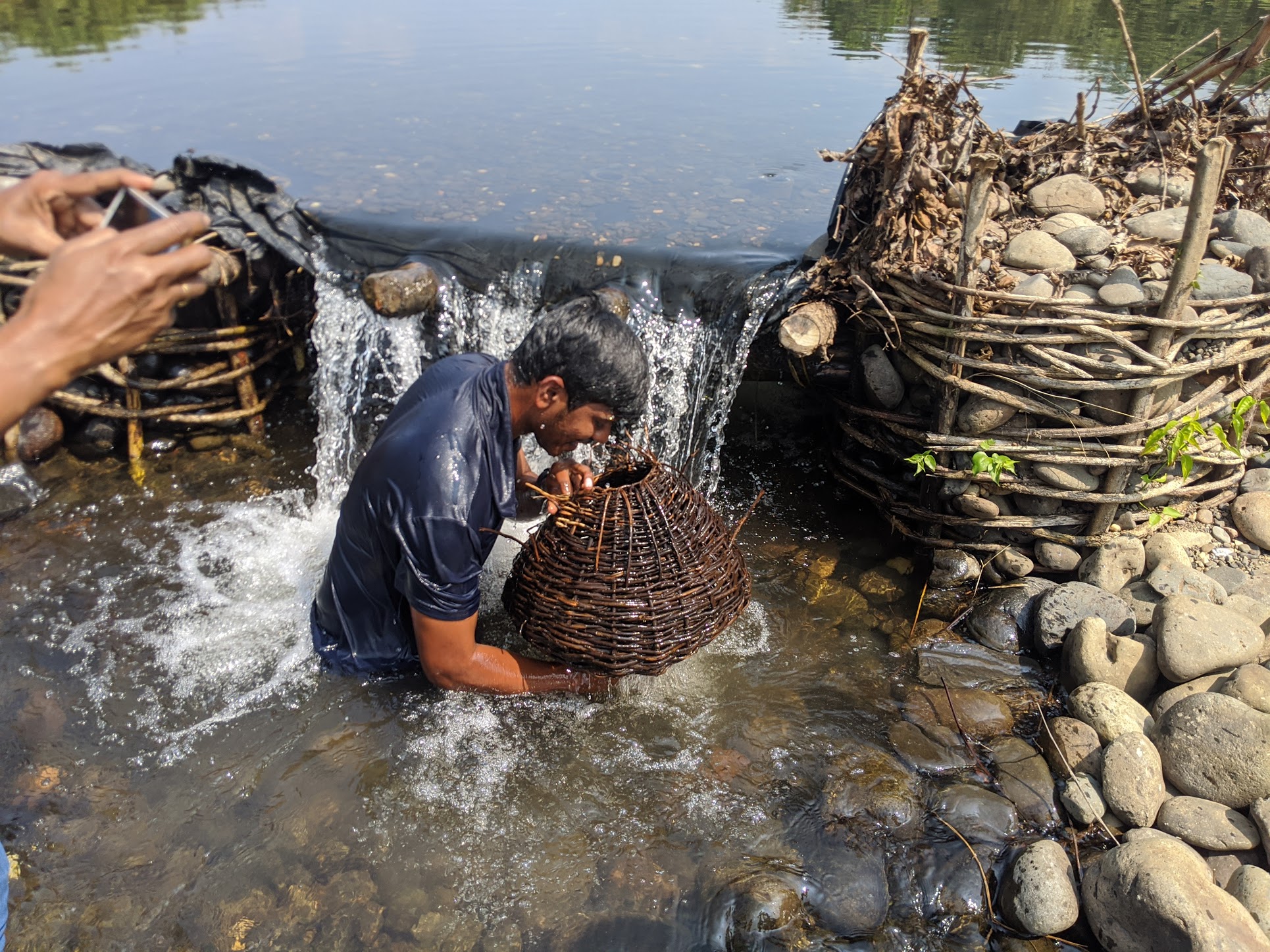 Dammed Fisheries of India – SANDRP