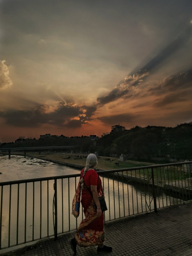 Bridges of Pune and the People who Stop and See – SANDRP