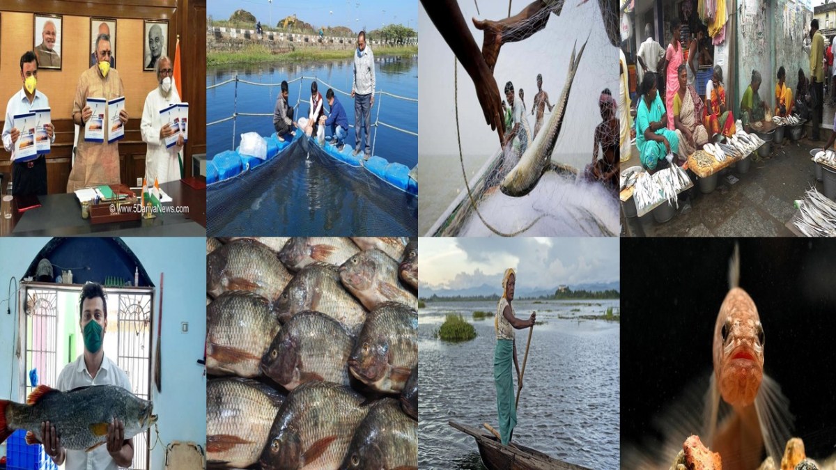 Inland Fish, Fisheries, Fisher-folks: 2020 Overview – SANDRP