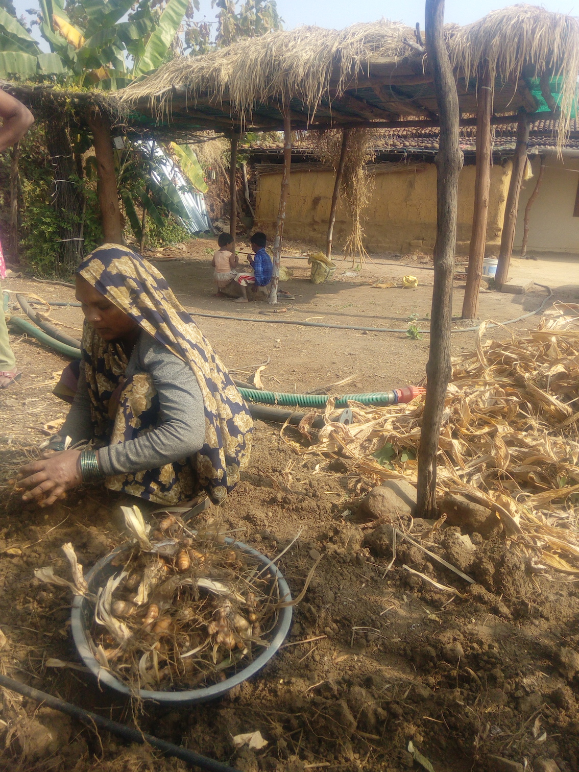 Barmecide Feast – The Problems in Production and Sale of the Produce of ...