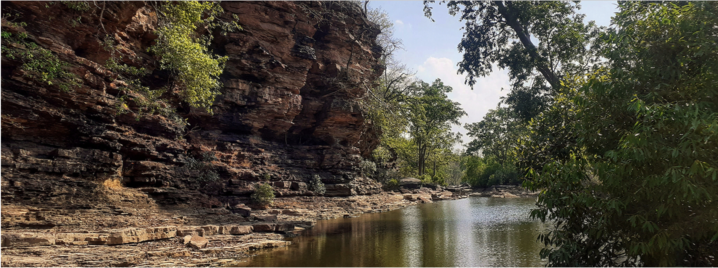 Buxwaha Forests – SANDRP
