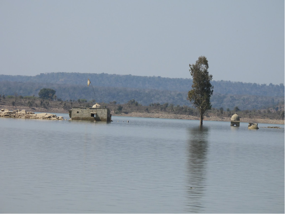 Legally enforceable Humane Rehabilitation, not compensation needed ...