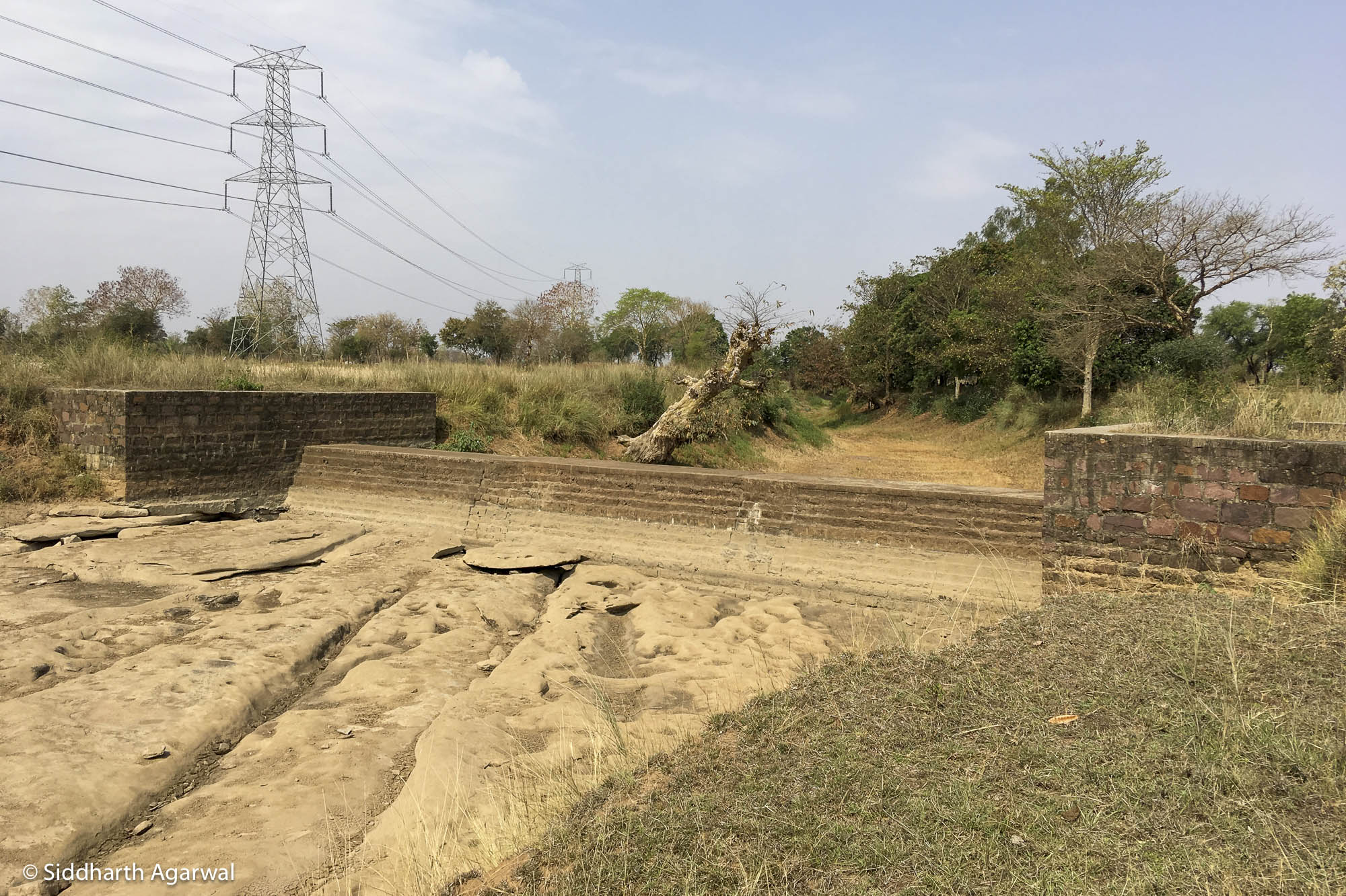 The Natural Water Systems that Make Ken a Living River – SANDRP