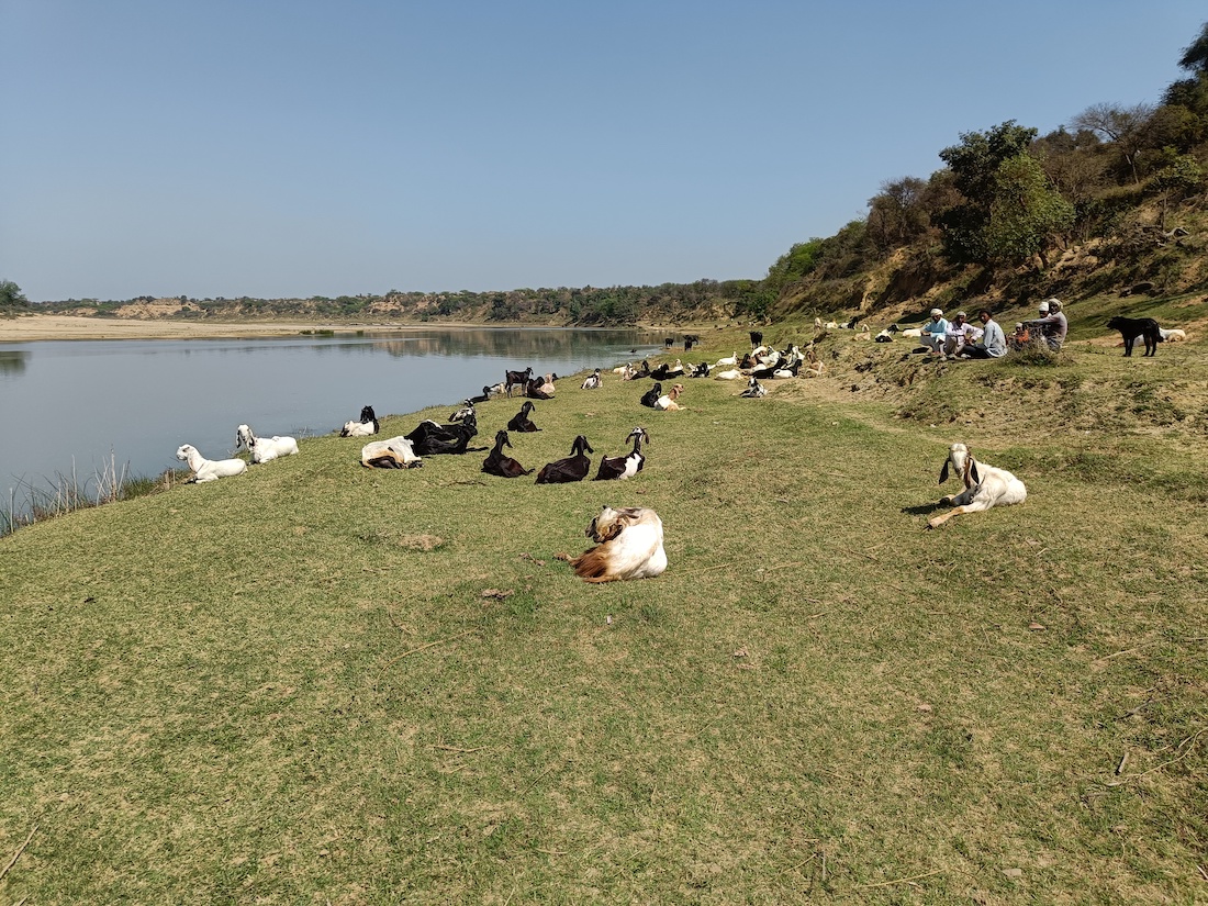 Co-sculptors of the Central Highlands: River Sindh and its People – SANDRP