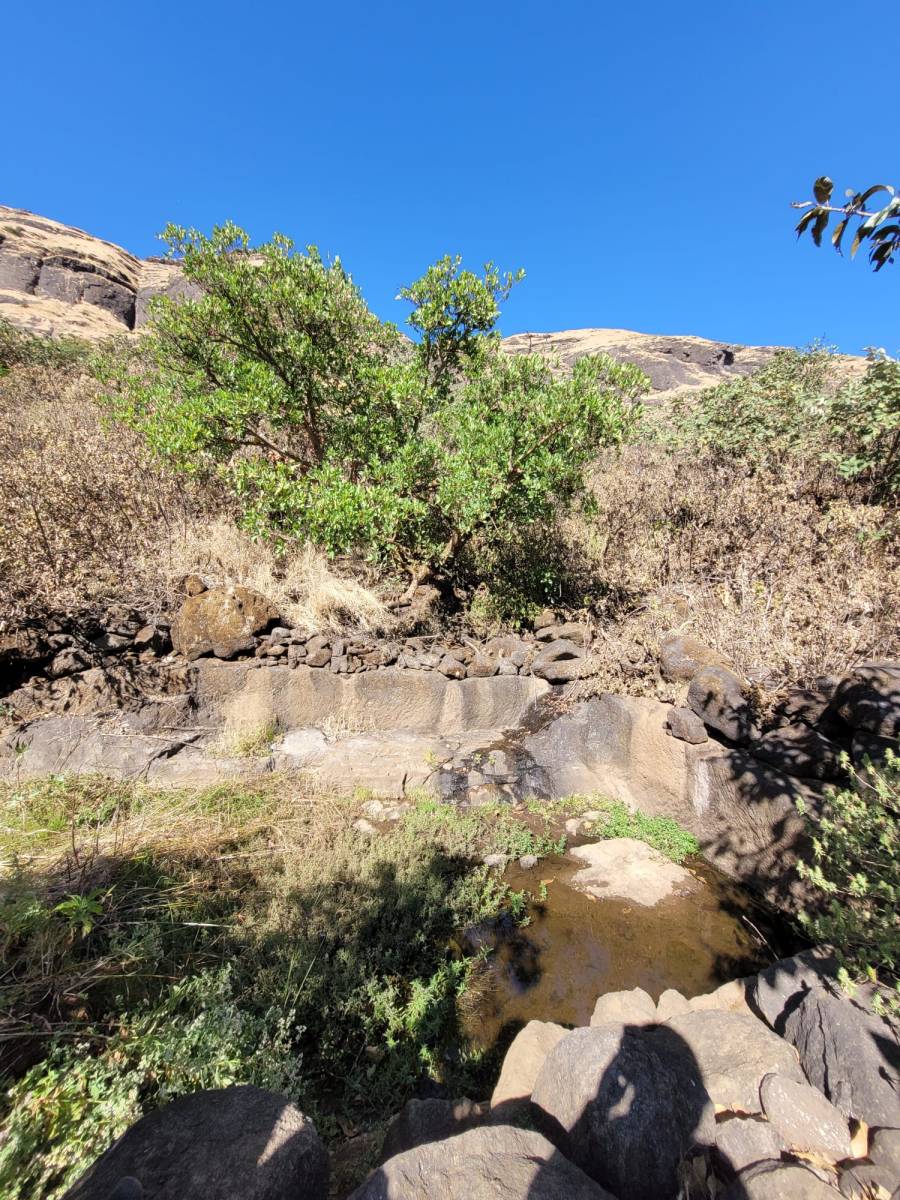 उगम: Story of Godavari and Vaitarna’s Origin – SANDRP