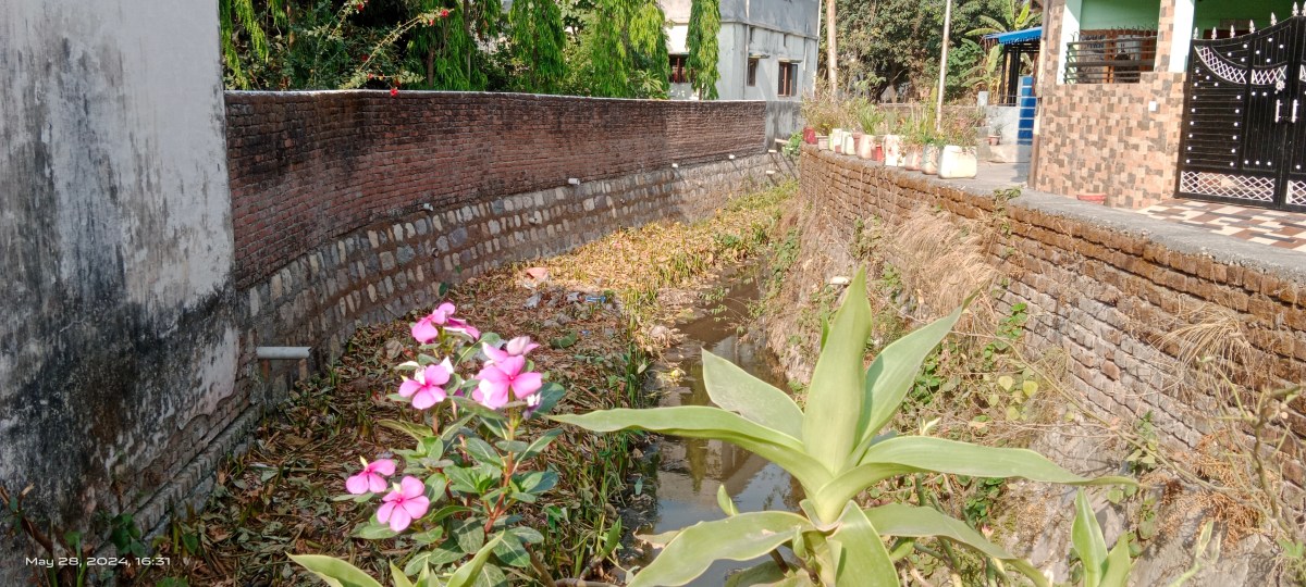 Photo Blog: Chasing Streams, Springs of Asan River in Dehradun – SANDRP