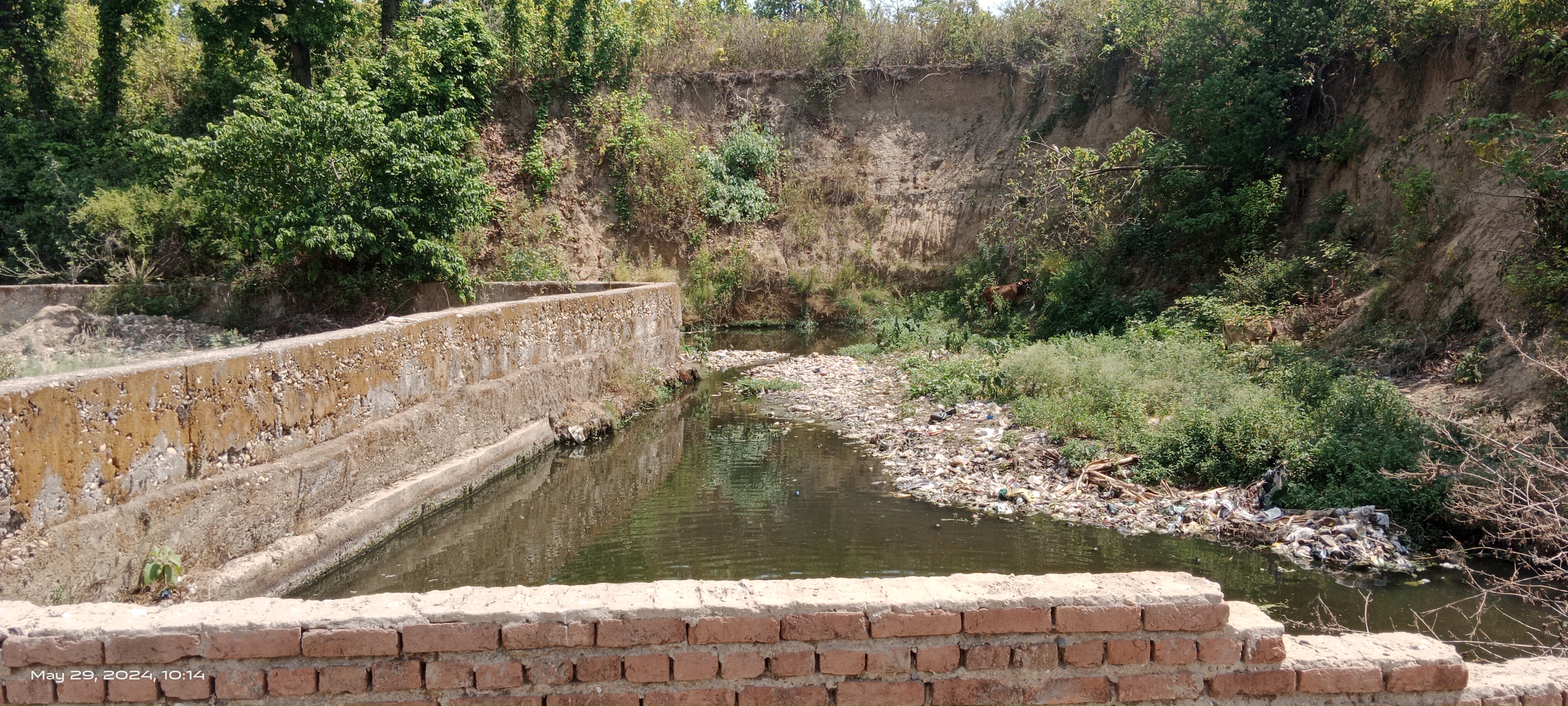 Photo Blog II: Asan Rivers Struggling to Survive in Dehradun – SANDRP