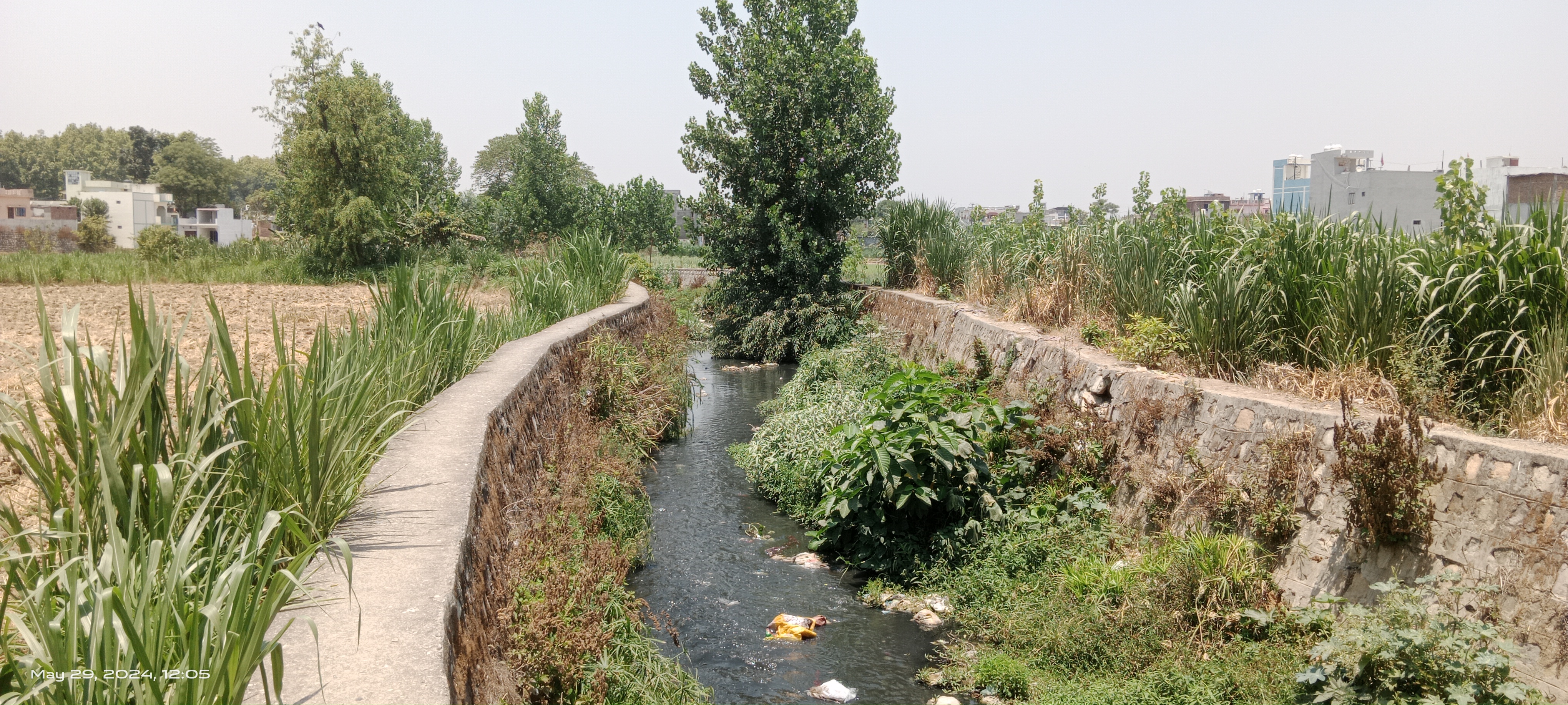 Photo Blog II: Asan Rivers Struggling to Survive in Dehradun – SANDRP