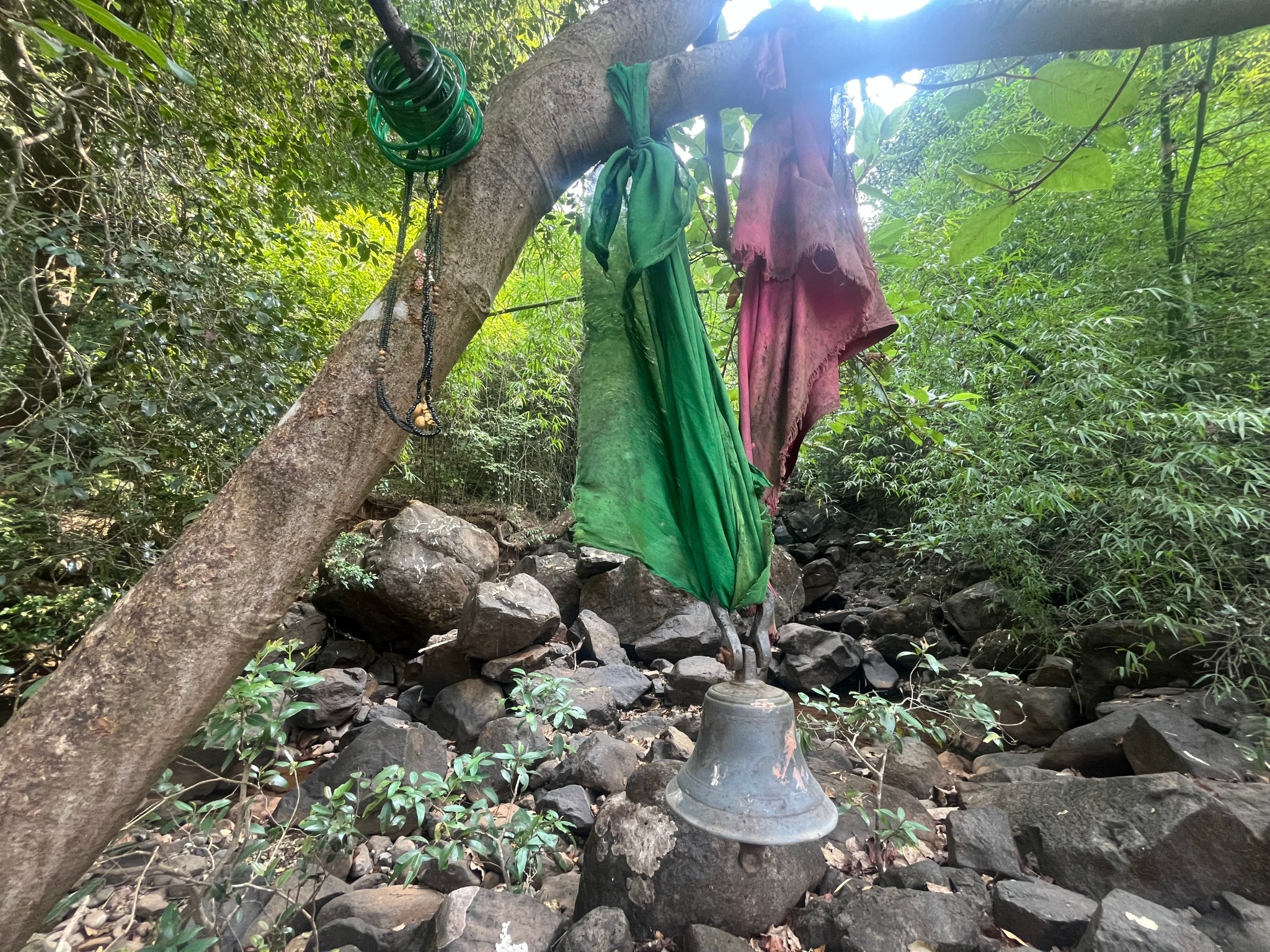 Adani Pump Storage Dams: Defiling sacred pools and fish sanctuaries in ...