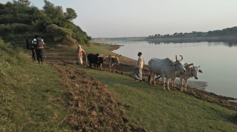 DVC Dam Flood – SANDRP