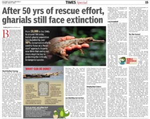 Message after 50 yrs of Gharial conservation: Save Rivers if we really ...